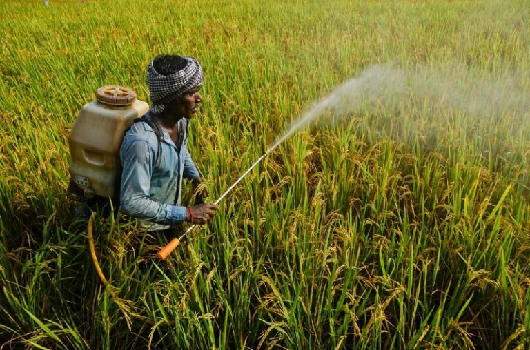 Agriculture Market In Paraguay, Agriculture Industry In Paraguay